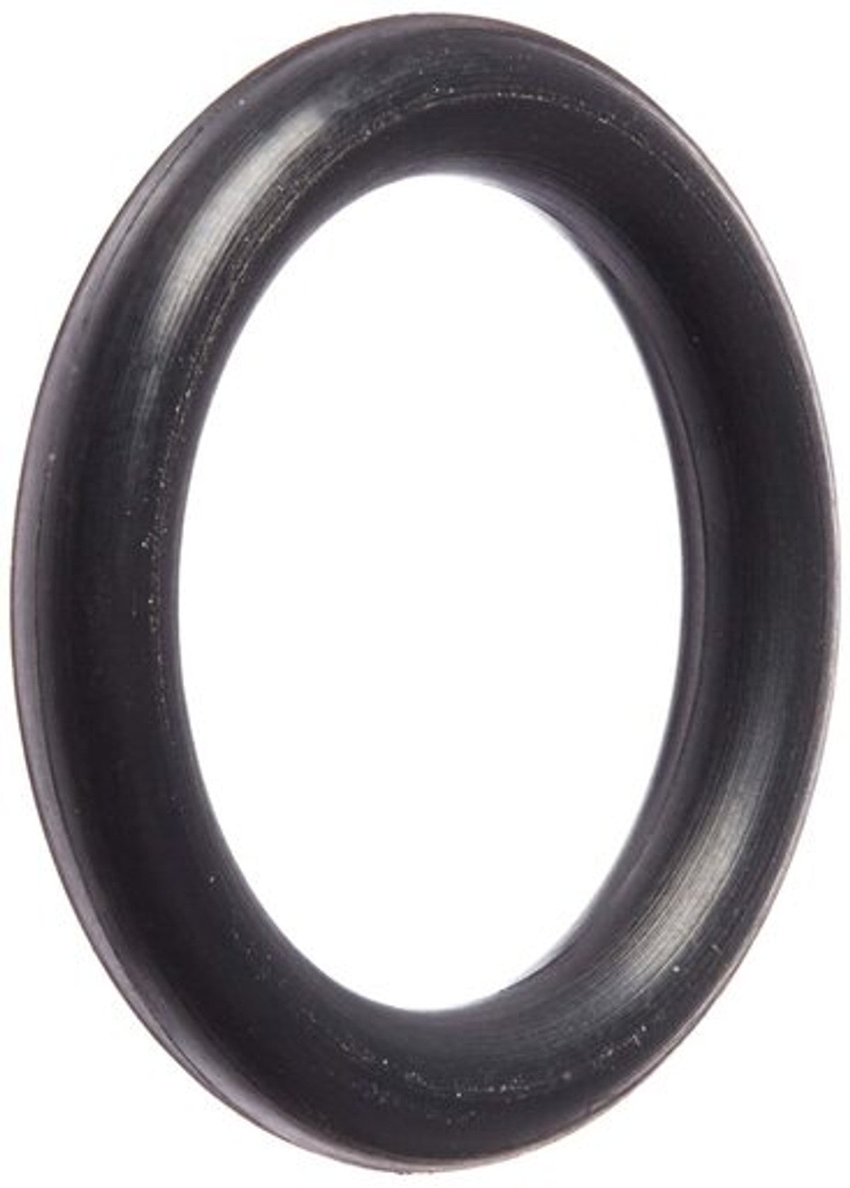 MSA O-Ring – TransCanada Safety